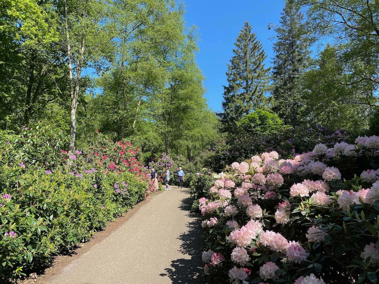 Eco-friendly things to do in Amsterdam - Sustainable Cities