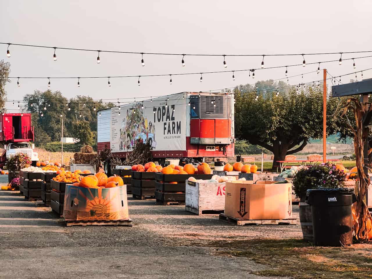 Green reasons to visit Portland, Oregon - Sustainable Cities