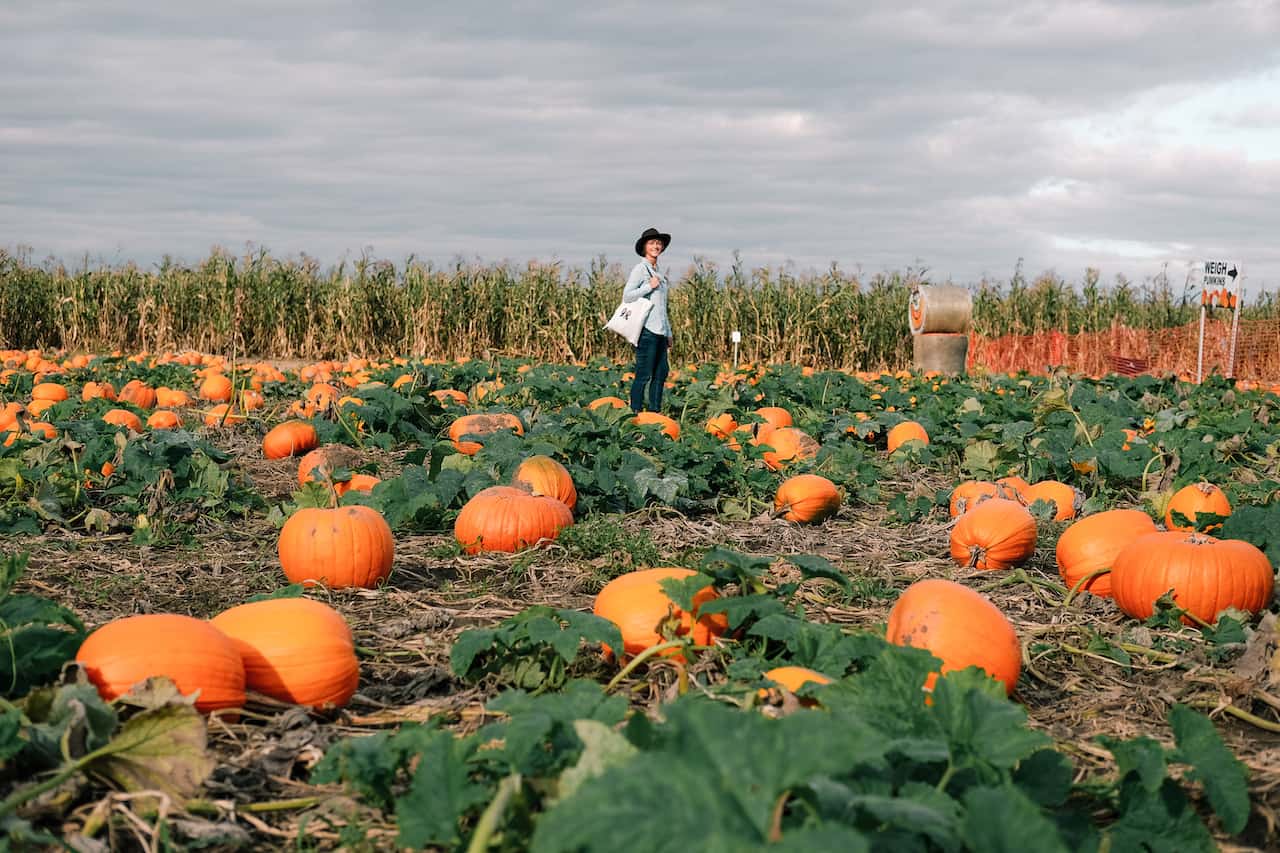 Green reasons to visit Portland, Oregon - Sustainable Cities