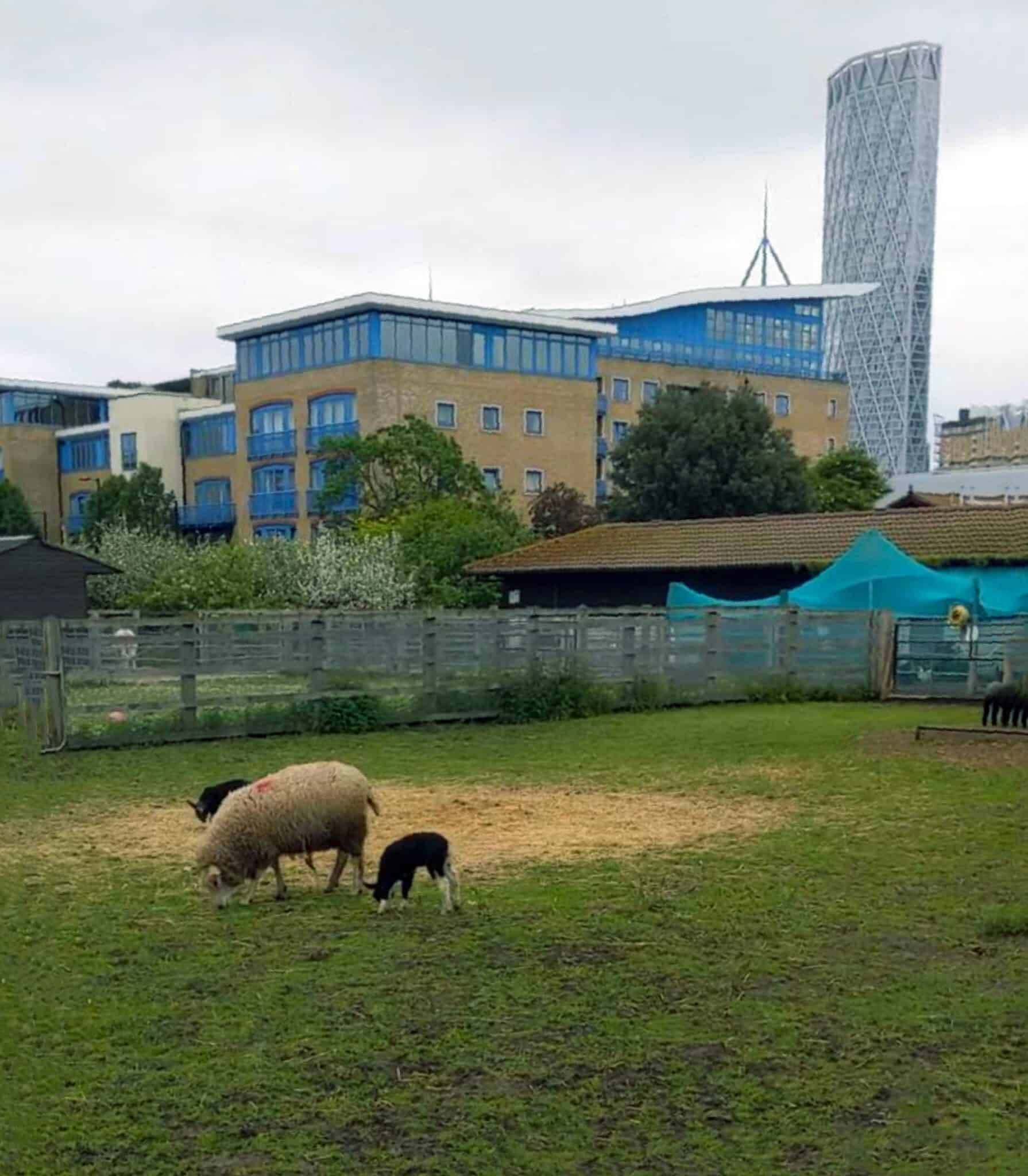 Sustainable Shopping in London- Sustainable Cities