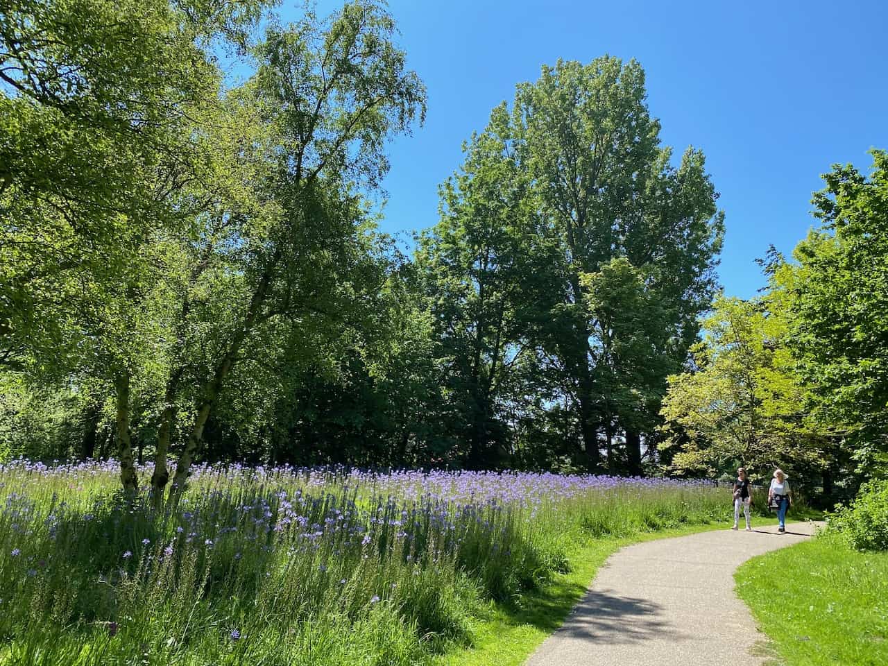 Beautiful parks in Amsterdam to visit - Sustainable Cities