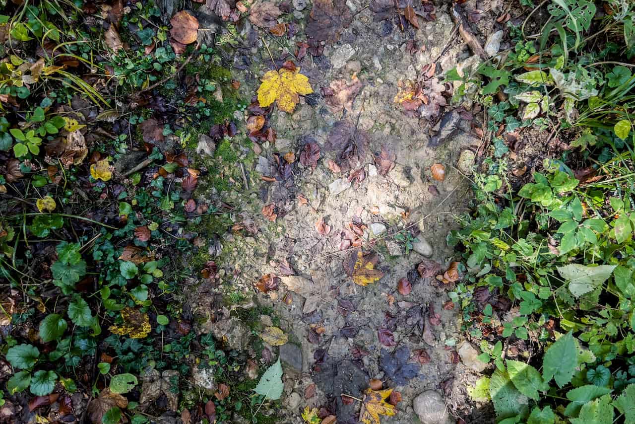 Graz City Hiking Trails to Tackle - Sustainable Cities